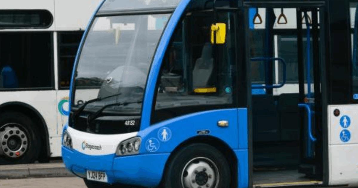 Cumberland bus route expansion approved - Michelle Scrogham MP